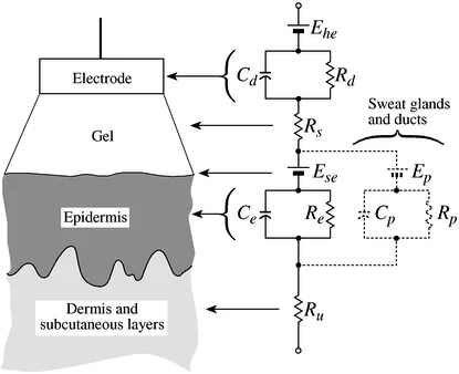 STMicroelectronics Rolls Out Biosensor for Health and Fitness Wearables ...